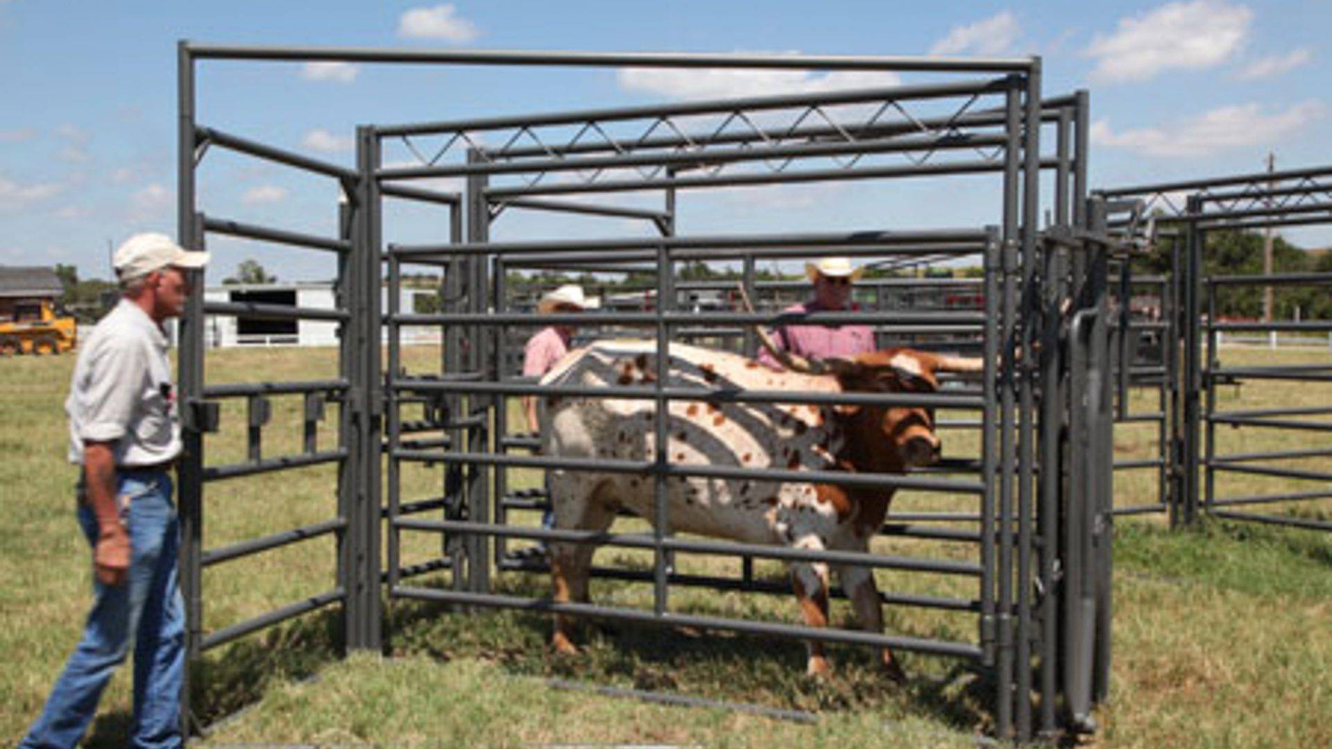 WW Specialty Cattle Chutes - Tri-L Manufacturing