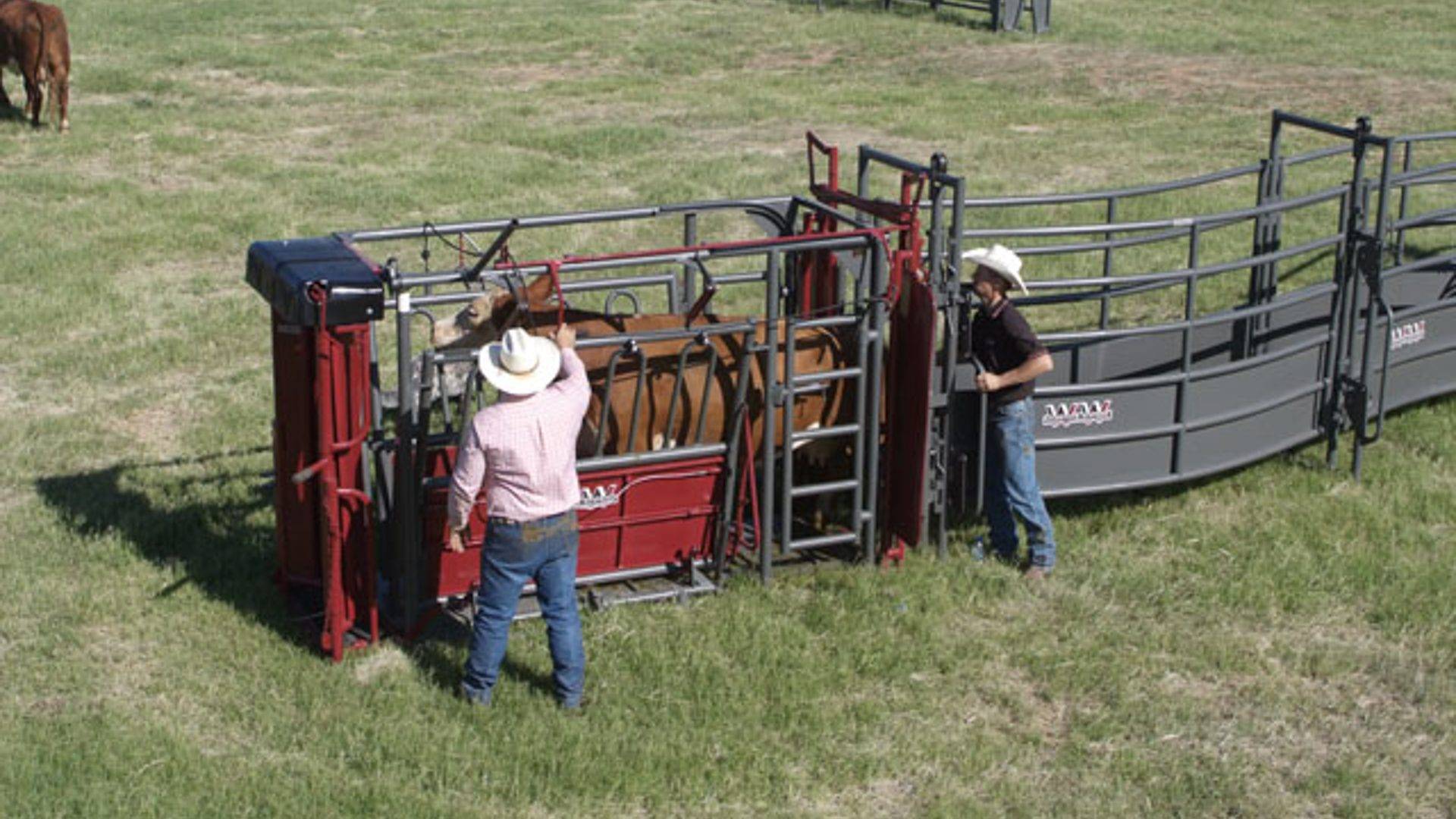 BeefMaster - Tri-L Manufacturing